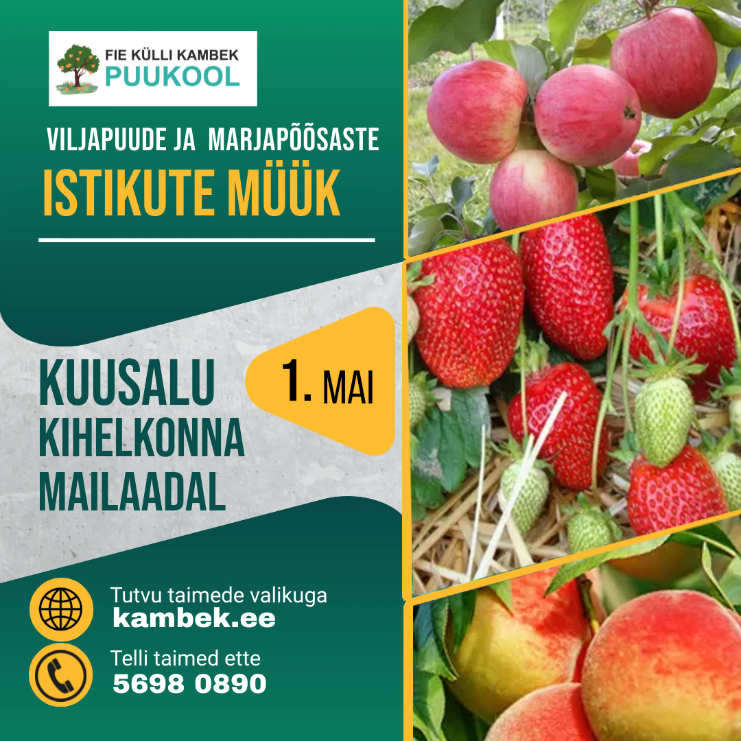 Kuusalu kihelkonna mailaat 2024 - Viljapuude ja marjapõõsaste müük